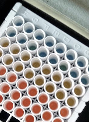 Products | Tosoh Bioscience